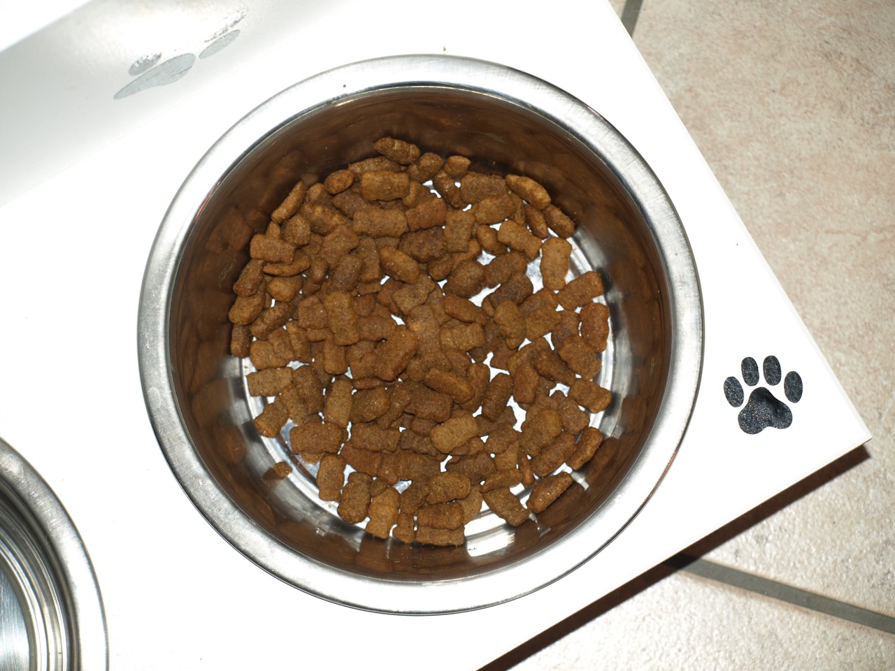 Zero Waste Dog Food Tips – Zero Waste California