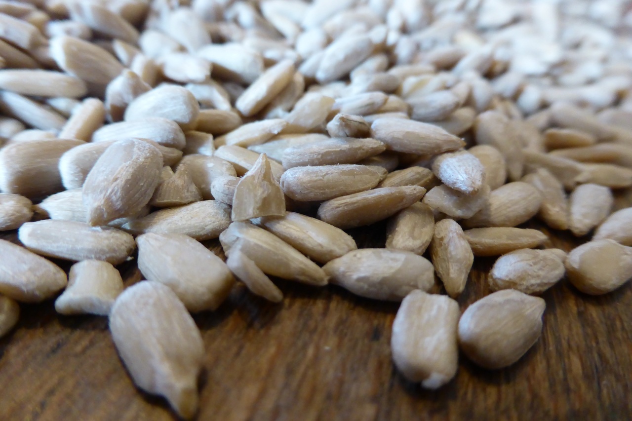 DIY Sunflower Butter – Zero Waste California