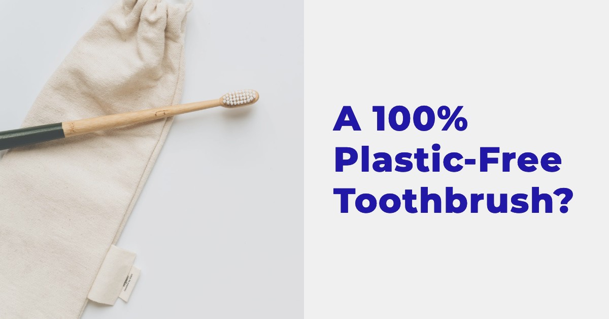 A 100% Plastic-Free Toothbrush? (UPDATED) – Zero Waste California