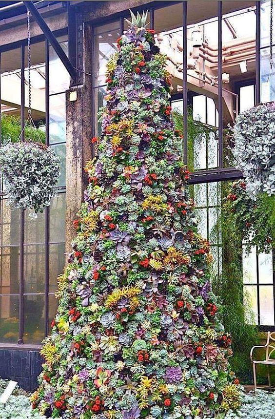 The Ultimate Alternative Christmas Tree List 2020!!!!!!! – Zero Waste ...